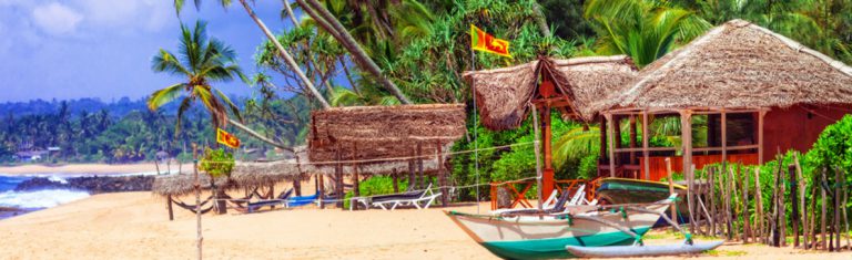 South Zone | Tripavi